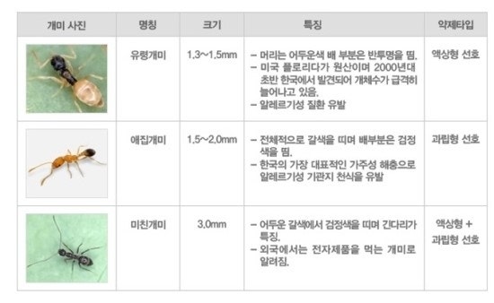 개미퇴치방법 방역소독전문회사