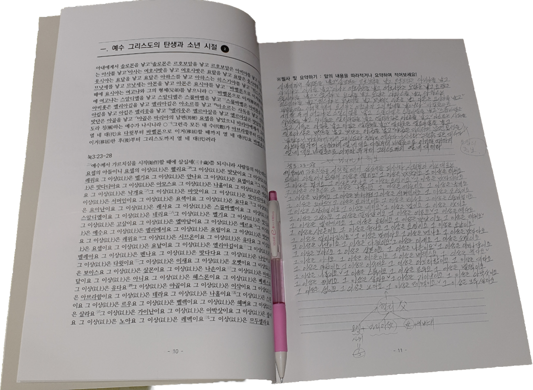 파노라마 사복음서 대림출판사